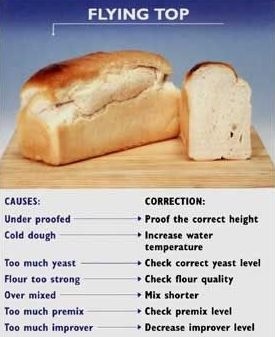 Bread Faults And Their Causes | The Dough-How Blog