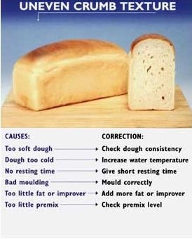Bread Faults And Their Causes | The Dough-How Blog