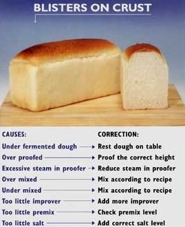 Bread Faults And Their Causes | The Dough-How Blog