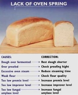 Bread Faults And Their Causes | The Dough-How Blog