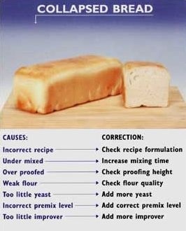 Bread Faults And Their Causes | The Dough-How Blog