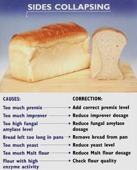 Bread Faults And Their Causes | The Dough-How Blog