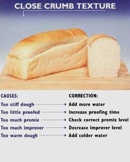 Bread Faults And Their Causes | The Dough-How Blog