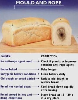 Bread Faults And Their Causes | The Dough-How Blog